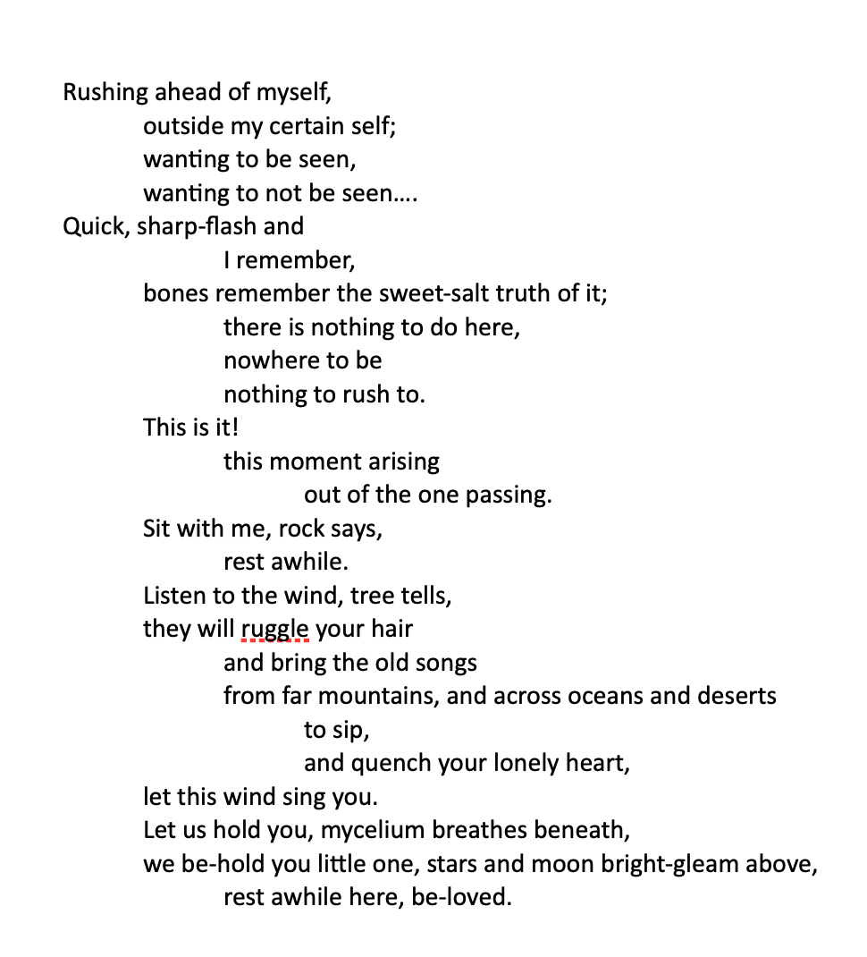 Sometimes the Path by Rita McInnes - The Wangapeka Study and Meditation ...