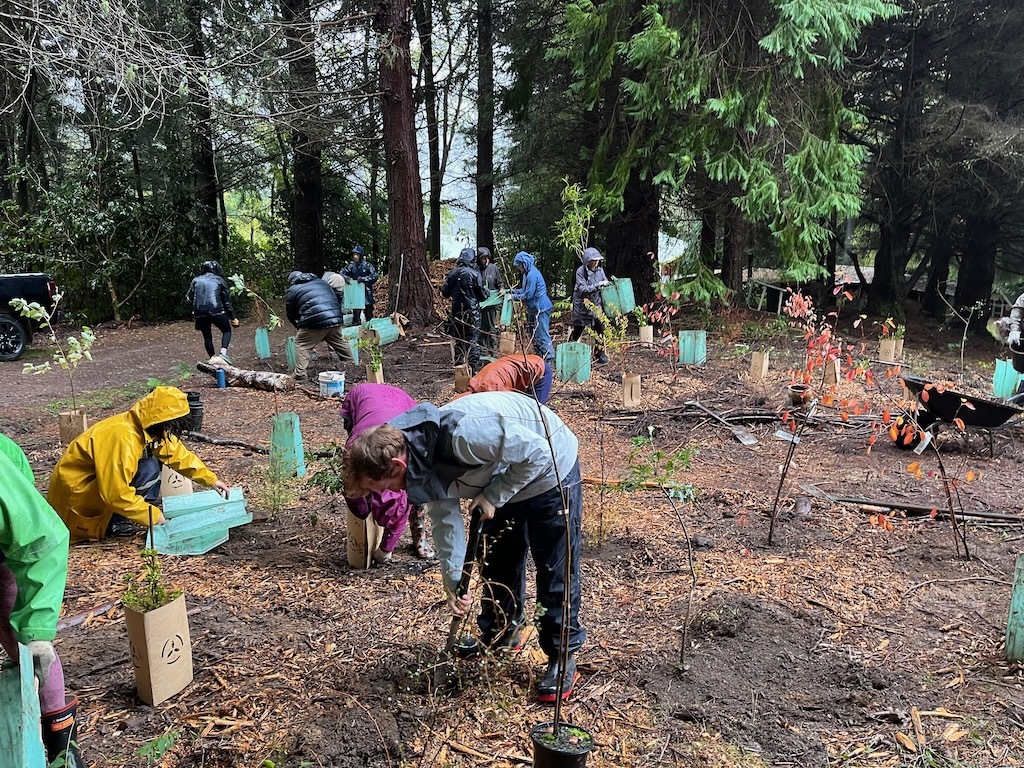 Tree Planting Day - The Wangapeka Study and Meditation Retreat Centre